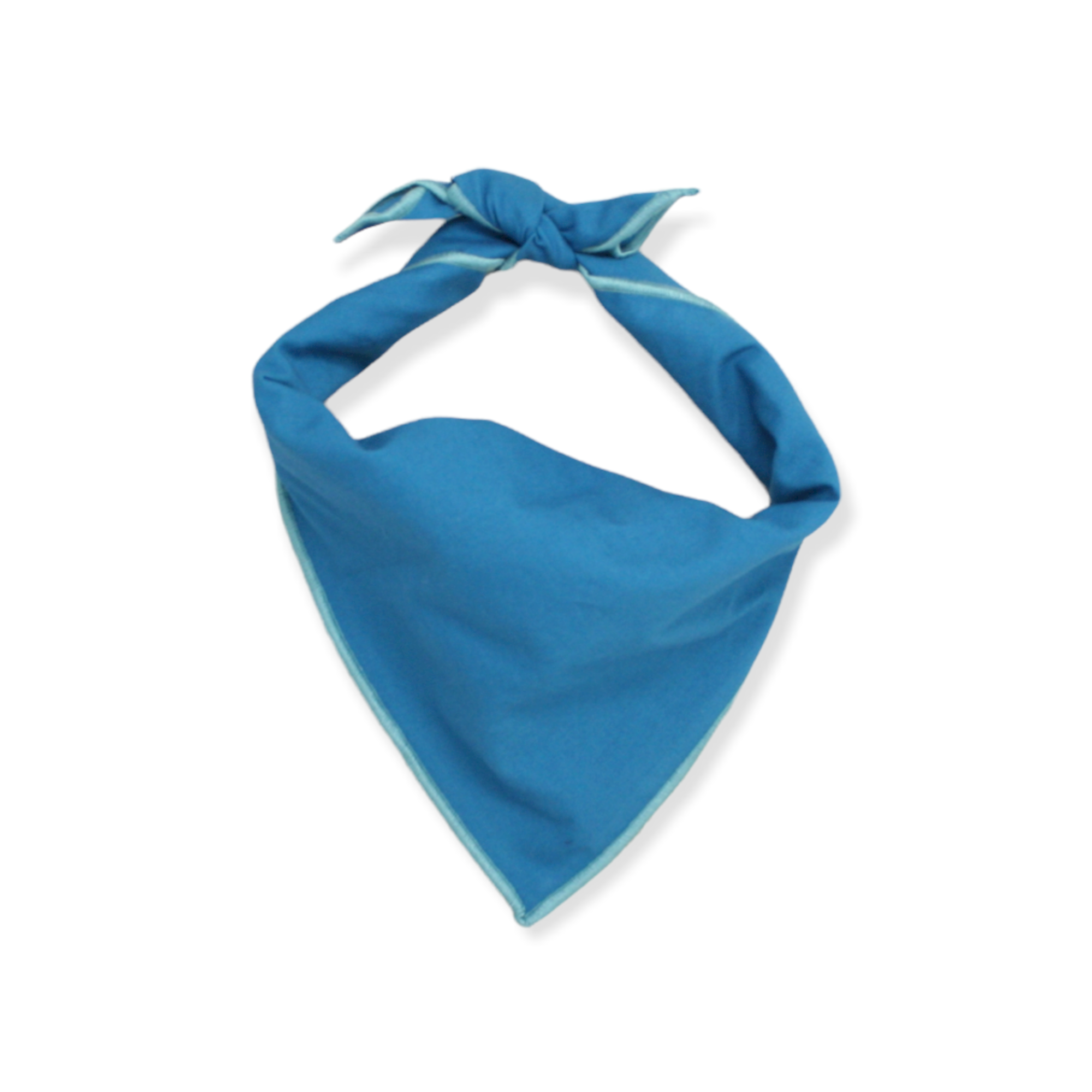 Dog bandana blue store